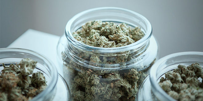 6 Key Points You'll See on the AZ Recreational Marijuana Initiative