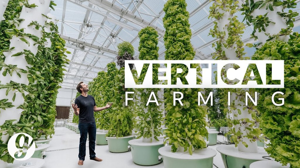 Video Farming Without Soil And 90 Less Water