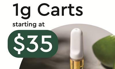 1 Gram Carts by The Pharm