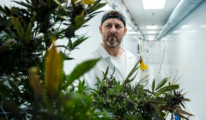 Recreational Marijuana Legalized in Maryland and Missouri