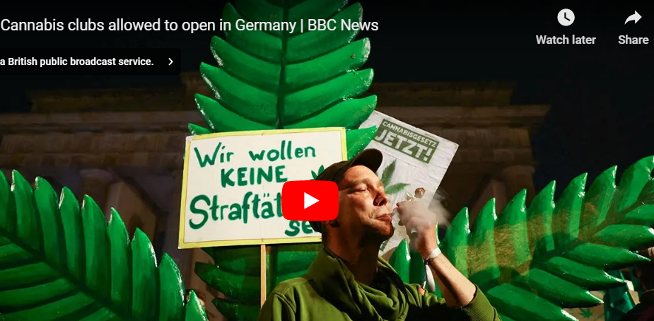 Cannabis clubs allowed to open in Germany