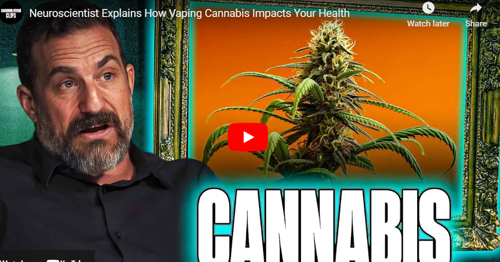 Neuroscientist Explains Cannabis & Health