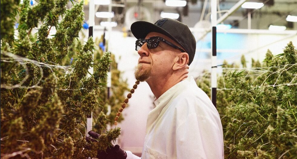 12 Things Every Adult Should Know About Arizona Marijuana
